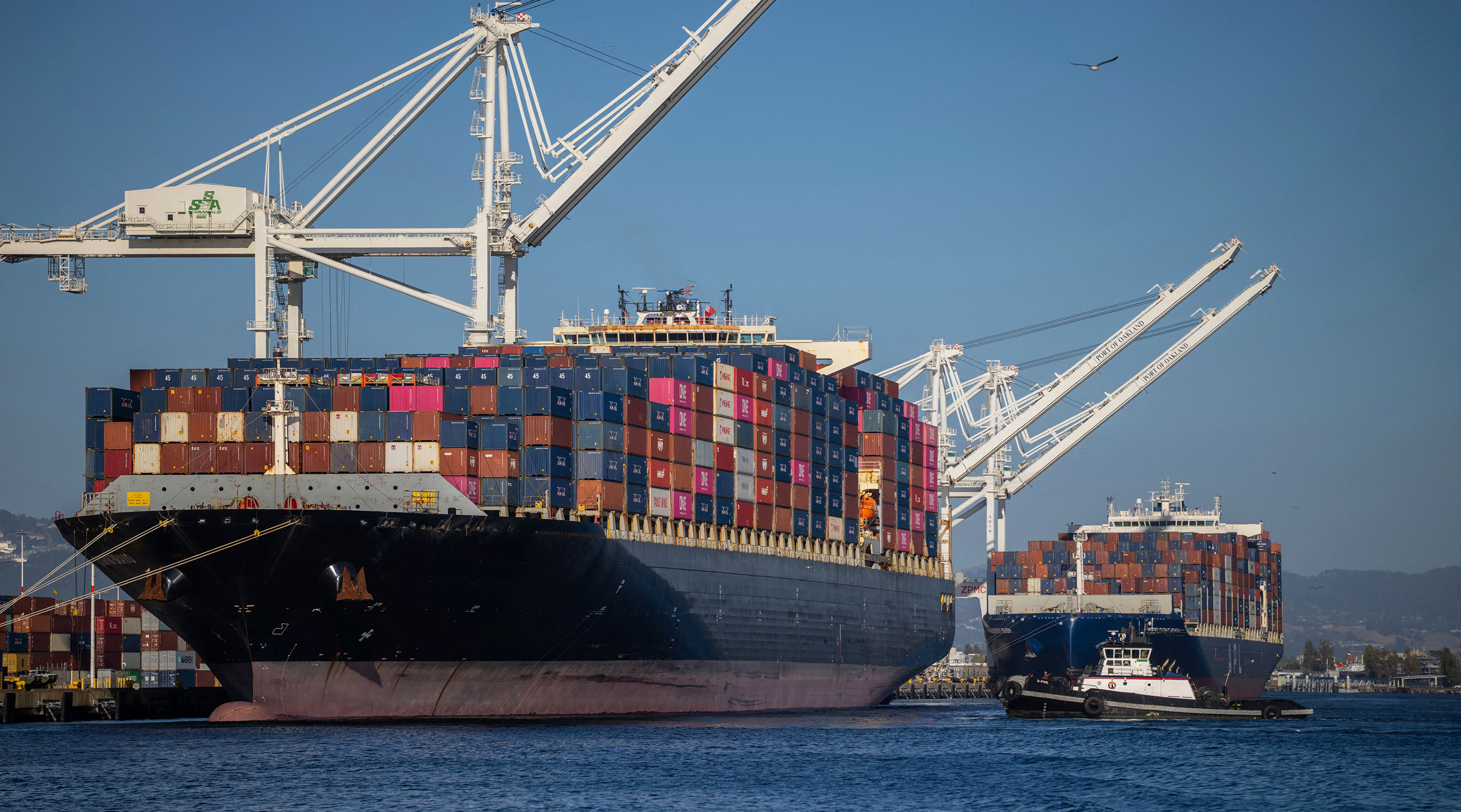How much did US imports of different products change after Trump's ...
